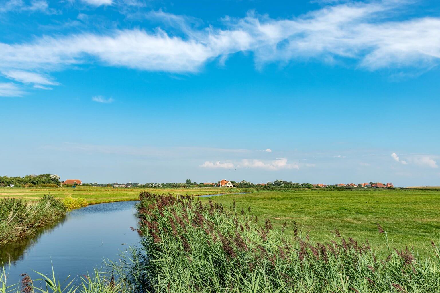 Omgeving - Terschelling Natuurlijk vakantiehuisverhuur